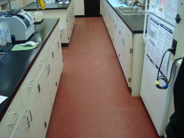 SelecTile™ Industrial Interlocking Flooring - Laboratory Flooring from ...
